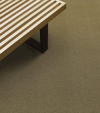 Tandus Flooring Aftermath Ii | Floor Roma