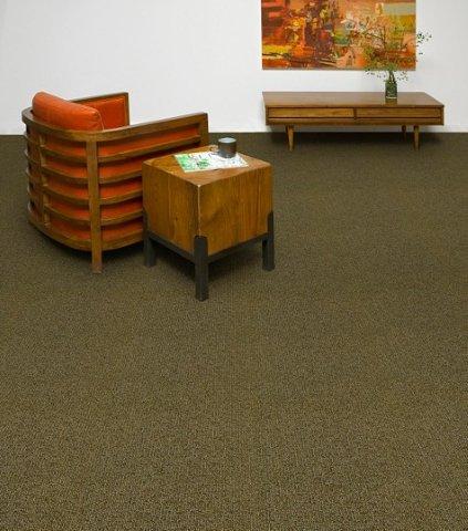 Tandus Carpet | Tandus Carpet Flooring Product Collection