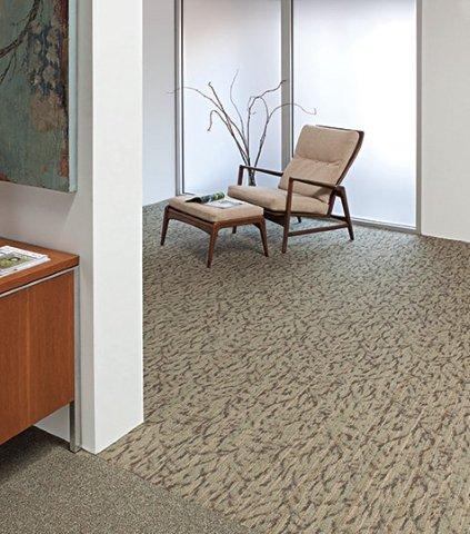 Tandus Carpet | Tandus Carpet Flooring Product Collection