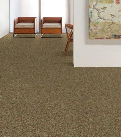 Tandus Carpet | Tandus Carpet Flooring Product Collection