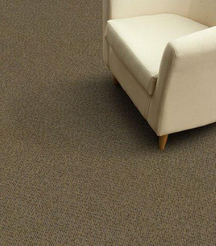Tandus Carpet | Tandus Carpet Flooring Product Collection