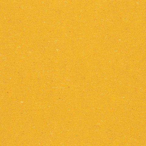 Armstrong Commercial Linoleum | Colorette NATURCote