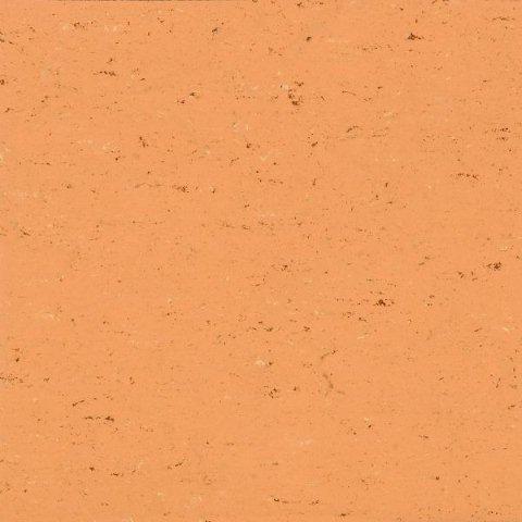 Armstrong Commercial Linoleum | Colorette NATURCote